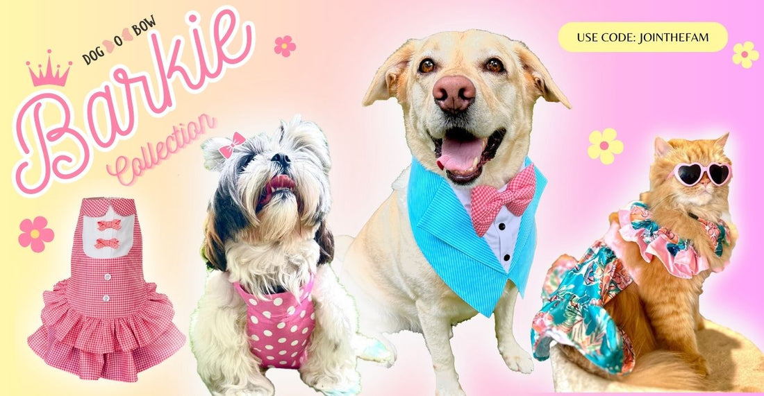 Buy Dog Dresses & Accessories | Dog Clothes Online in India | DogOBow ...