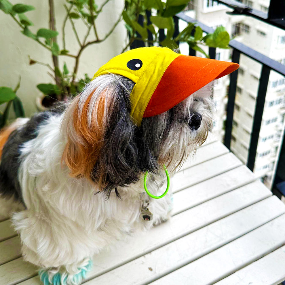 Duckie Cap
