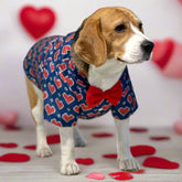 Buy Dog Dresses & Accessories | Dog Clothes Online in India | DogOBow ...