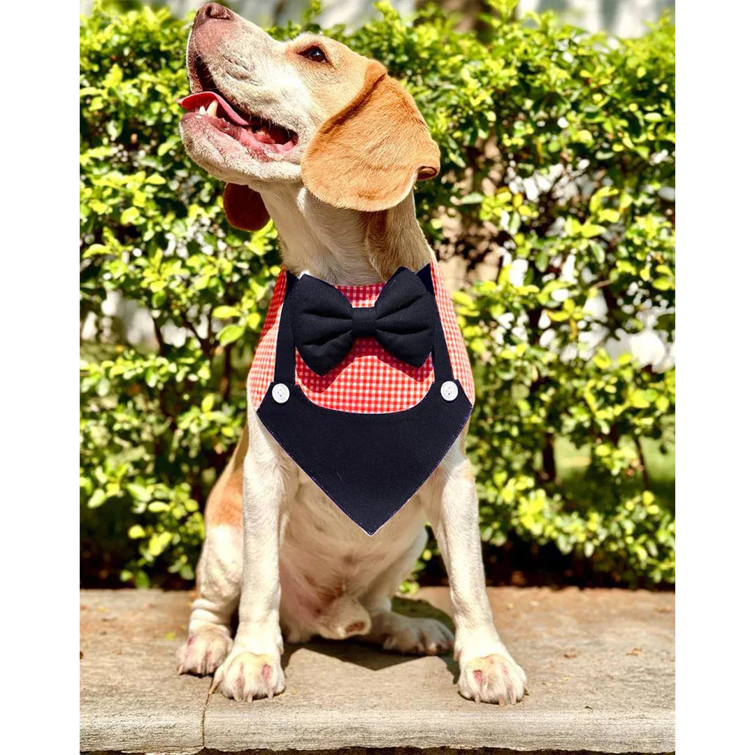 Red Gingham Dungaree Bandana for Dogs | Dogobow Hyderabad