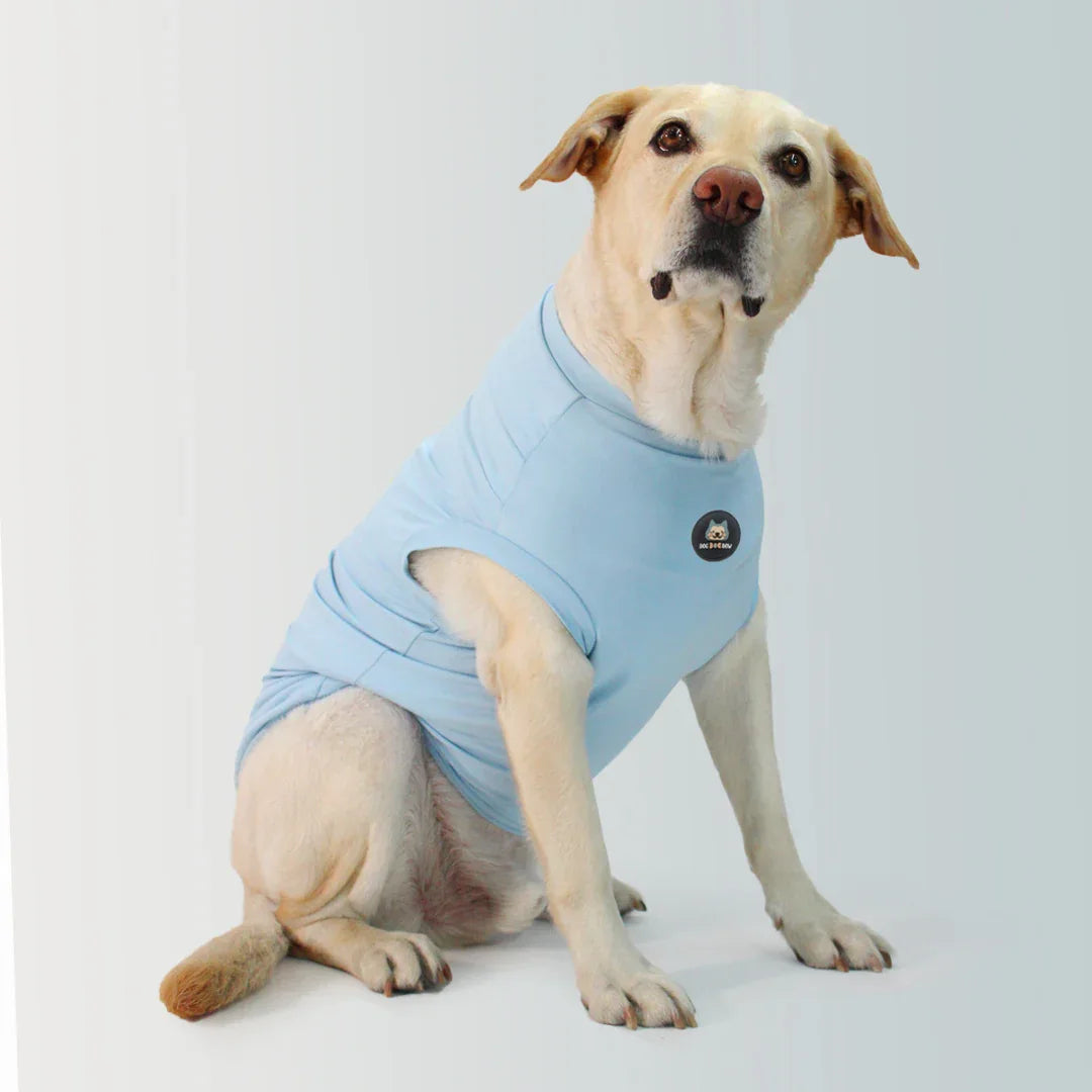 Buy Dog Dresses & Accessories | Dog Clothes Online in India | DogOBow ...